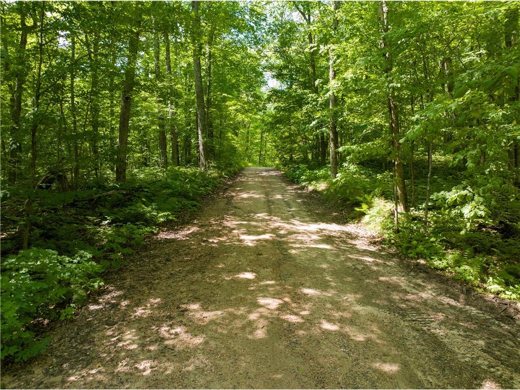 N 818 Holy Island Road, Sarona, WI, 54870 | MLS: 1584023 | Edina Realty