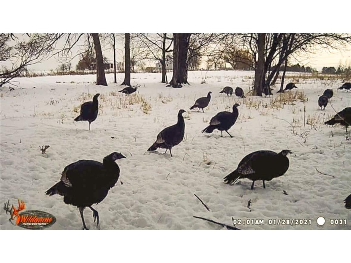 N4153 Budney Avenue, Gilman, WI, 54433 | MLS: 1587988 | Edina Realty