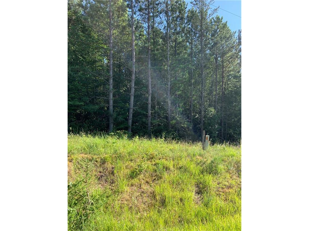 ON Black Brook Road, Webster, WI, 54893 | MLS: 1545140 | Edina Realty