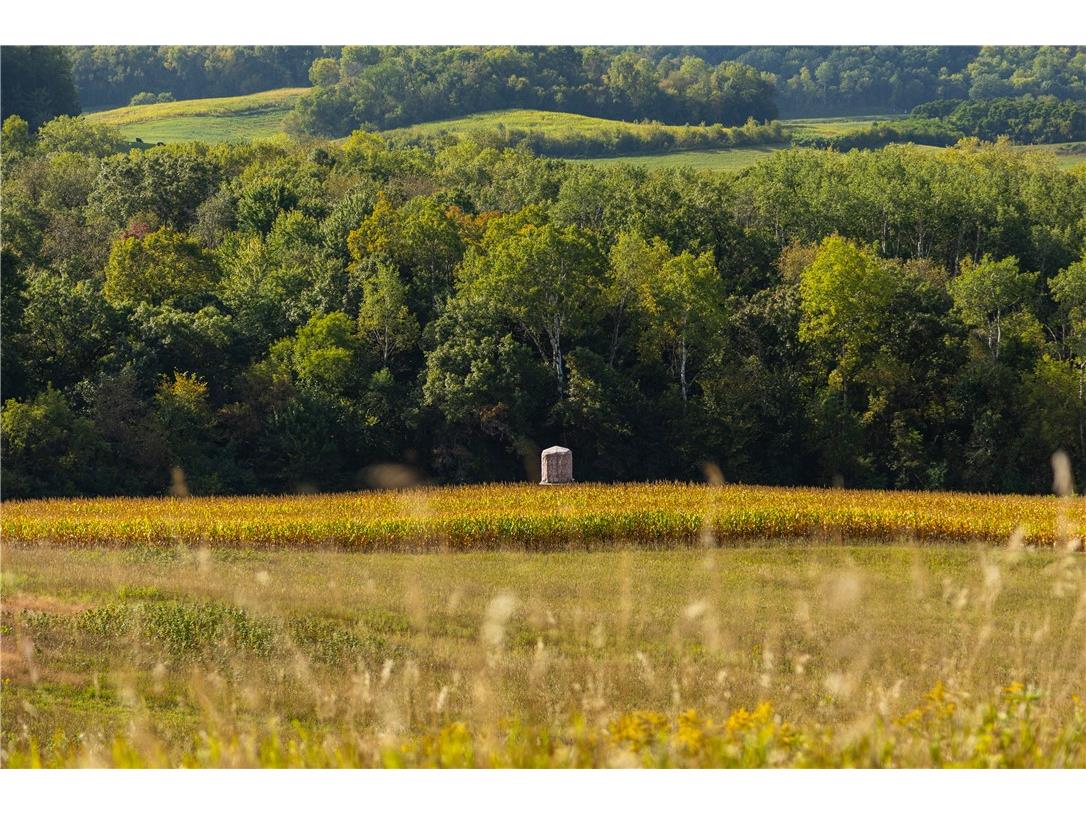 S397 Sand Road, Mondovi, WI, 54755 | MLS: 1585806 | Edina Realty