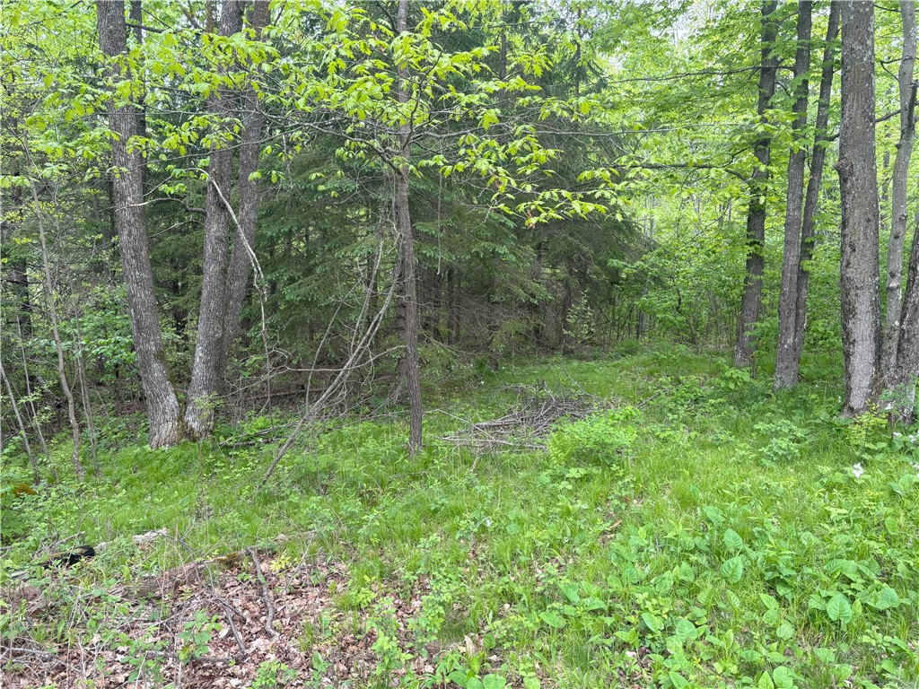 W3926 County Road B, Cedar Rapids, WI, 54526 | MLS: 1592204 | Edina Realty