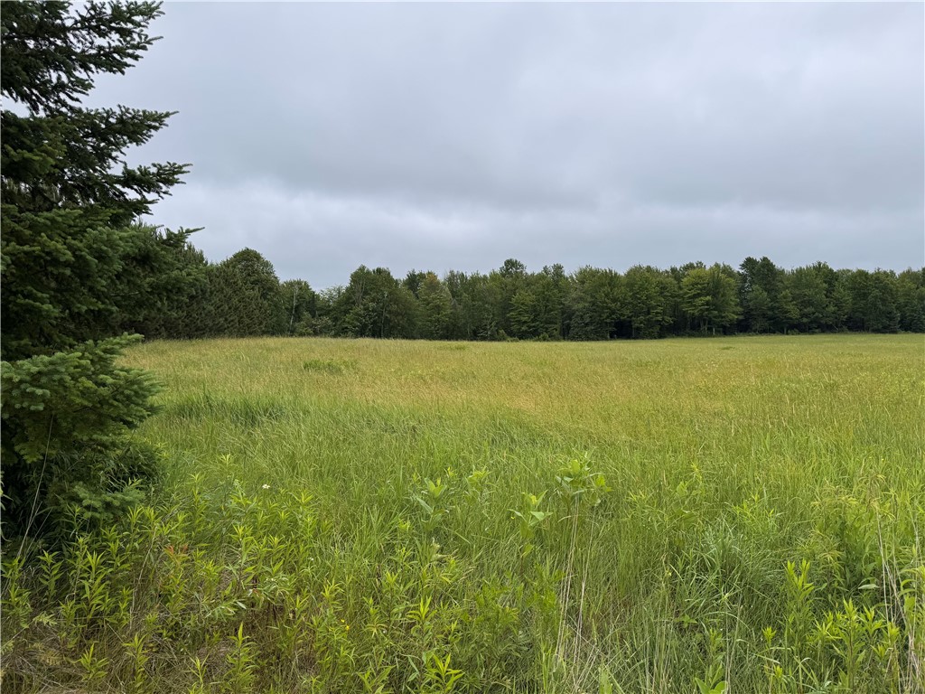 W612 Cranberry Road, Hawkins, WI, 54530 | MLS: 1593053 | Edina Realty