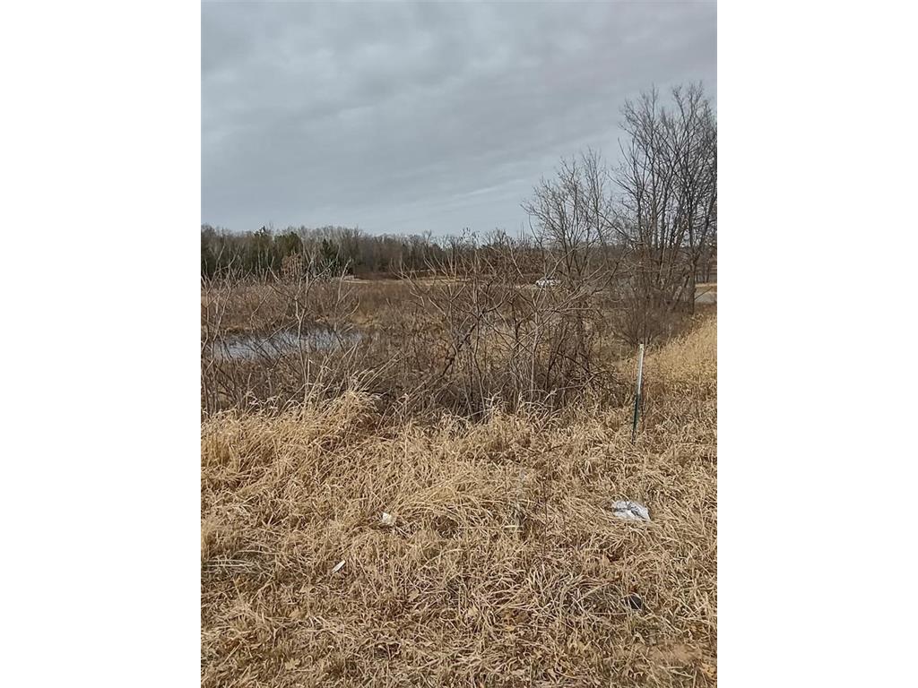 XXX Tamarack Street, Turtle Lake, WI, 54889 | MLS: 1580535 | Edina Realty