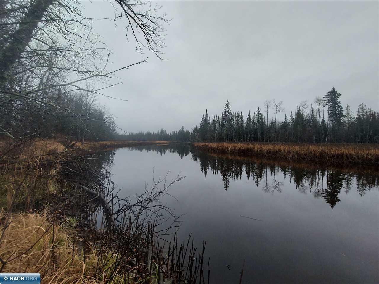 Parcel D County Rd 119, Ray, MN, 56669 | MLS: 144477 | Edina Realty