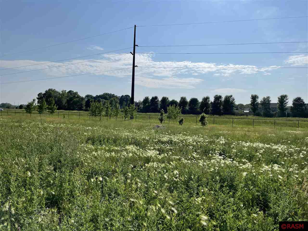 1825 Bluestem Drive, Mankato, MN, 56001 | MLS: 7032564 | Edina Realty