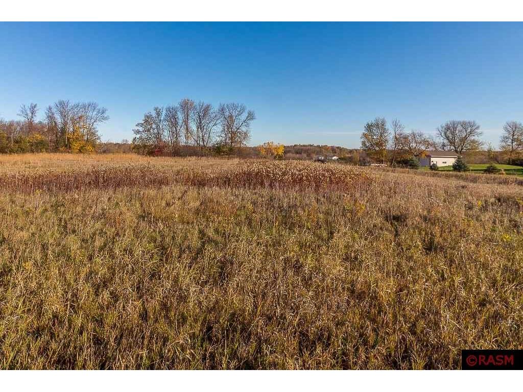 TBD 474th Lane, Elysian, MN, 56028 | MLS: 7031729 | Edina Realty