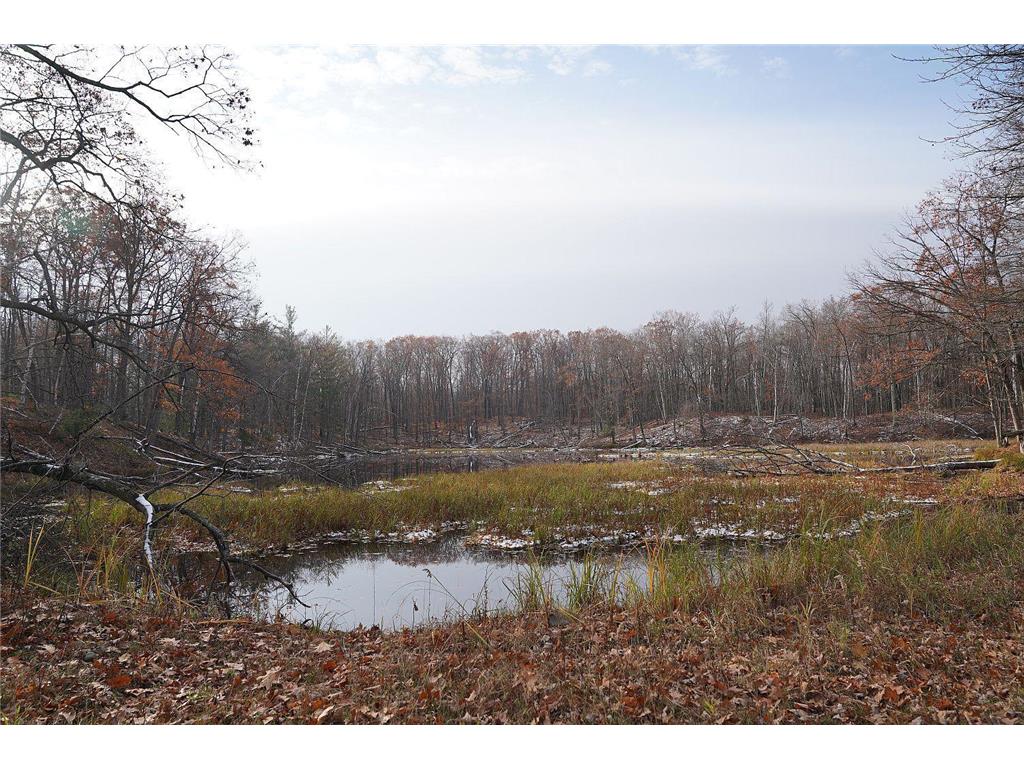 0 County Rd W, Rusk Twp, WI, 54895 | MLS: 6456372 | Edina Realty
