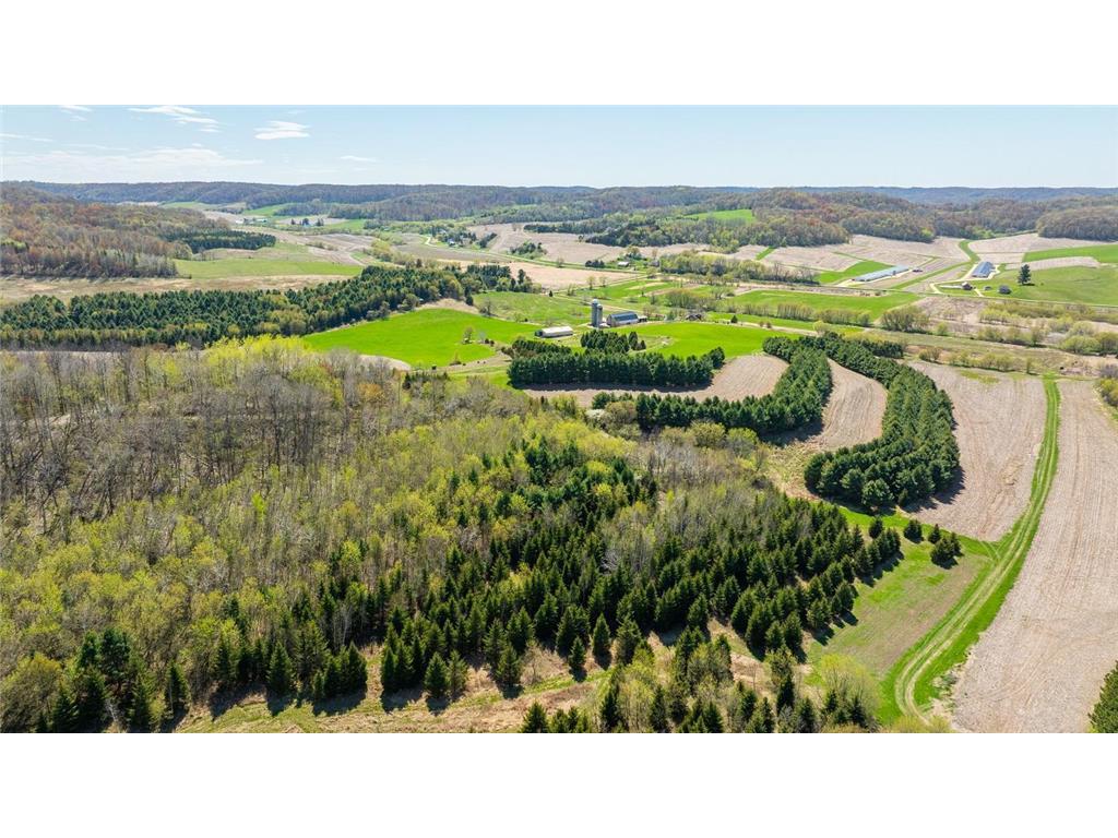 0 Steinke Road, Canton, WI, 54755 | MLS: 6741185 | Edina Realty