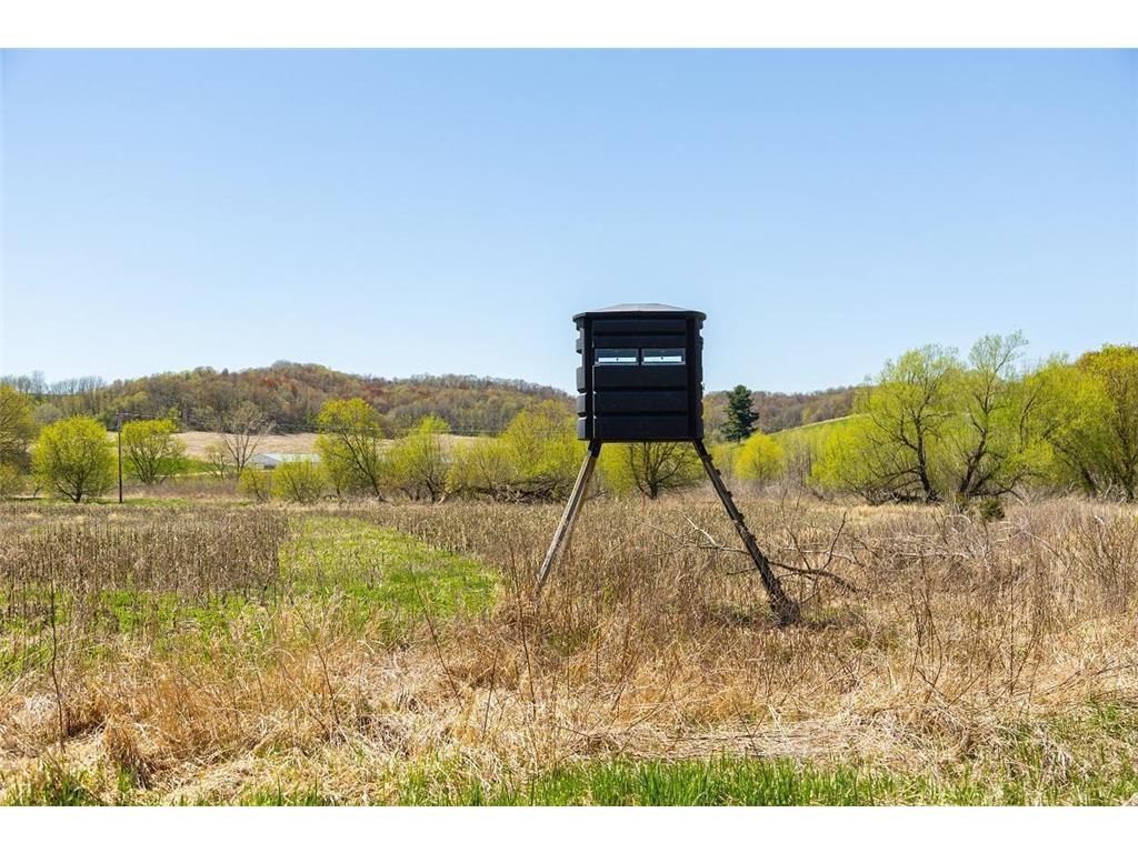 0 Steinke Road, Canton, WI, 54755 | MLS: 6741185 | Edina Realty