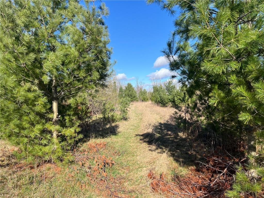 000 Beroun Crossing Rd, Mission Creek Twp, MN, 55007 | MLS: 6524616 ...