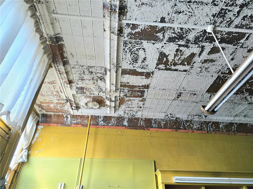 102 N Main Street, Canton, MN, 55922 | MLS: 6548925 | Edina Realty