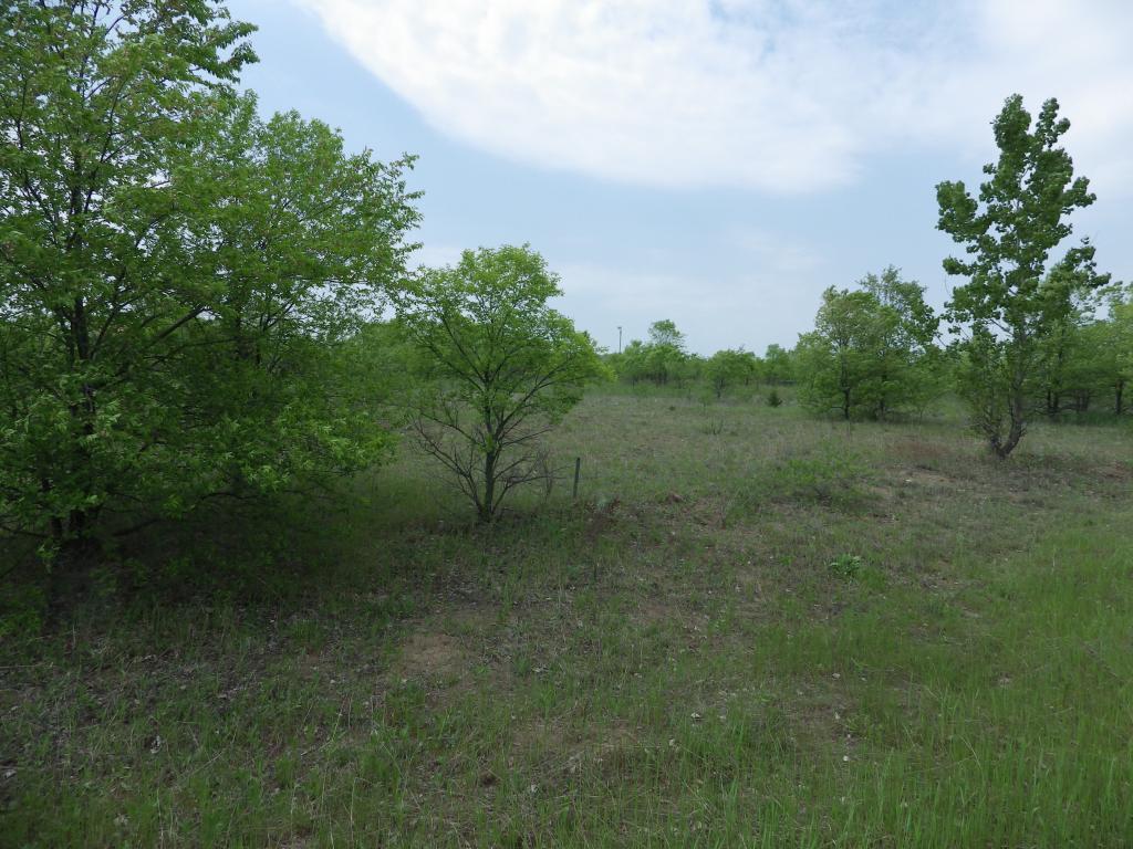 105 9th Avenue NE, Rice, MN, 56367 | MLS: 5196706 | Edina Realty