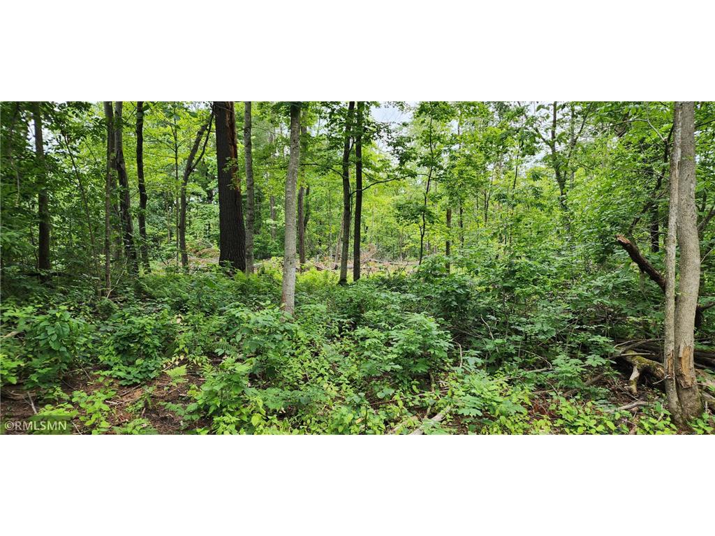 10xx US Hwy 8, Apple River Twp, WI, 54001 | MLS: 6564447 | Edina Realty