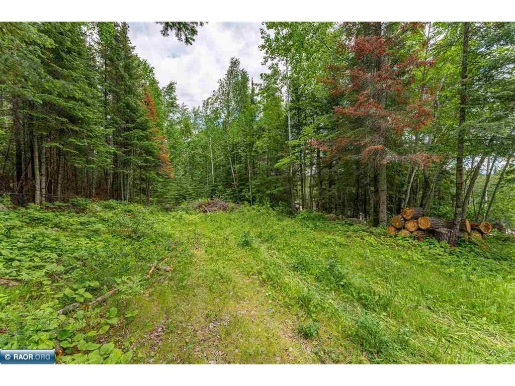 1105 County Road 77, Tower, MN, 55790 | MLS: 6556788 | Edina Realty