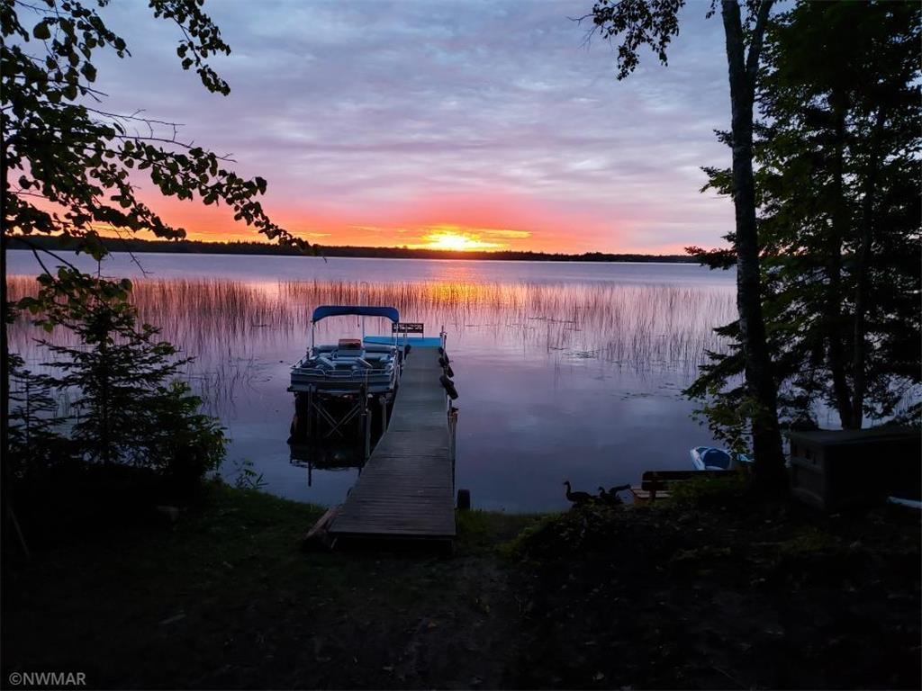 1117 S Gull Lake Road SW, Tenstrike, MN, 56683 | MLS: 6222925 | Edina ...