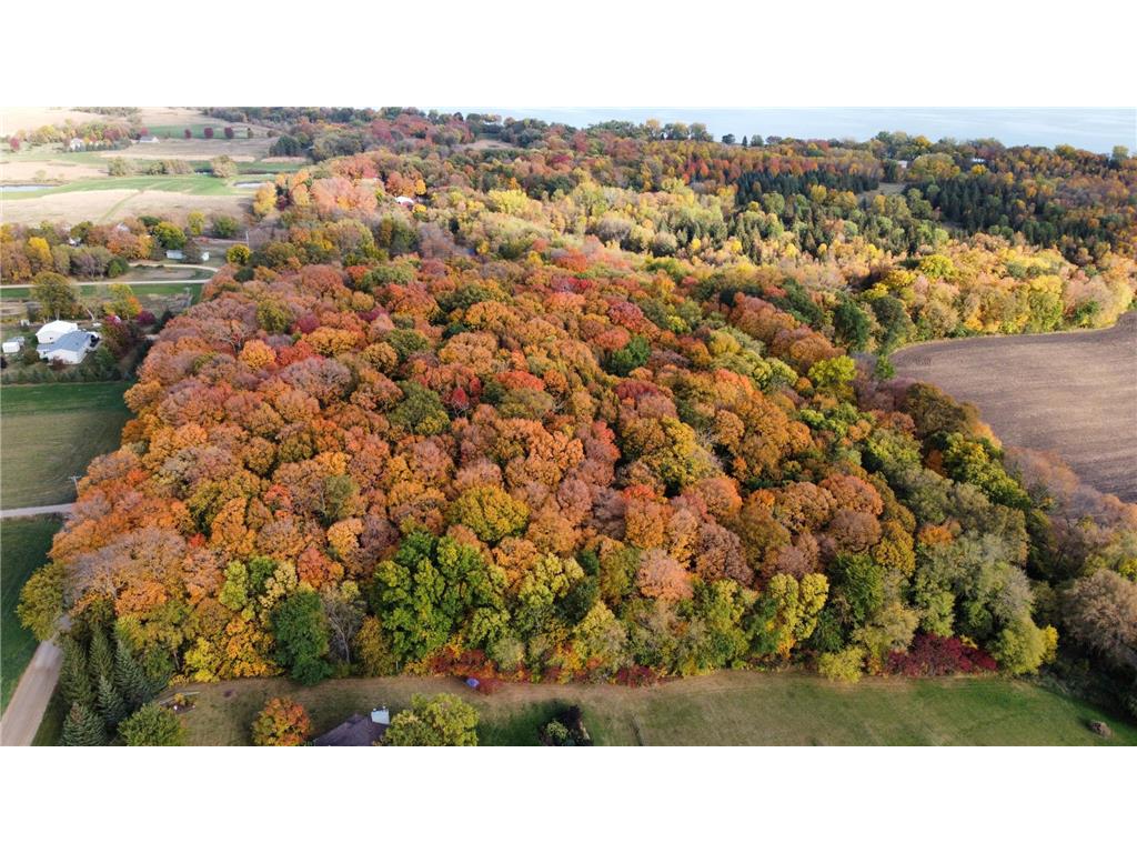 11215 66th Street, Waconia, MN, 55387 | MLS: 6577517 | Edina Realty