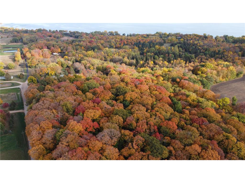 11255 66th Street, Waconia, MN, 55387 | MLS: 6577509 | Edina Realty