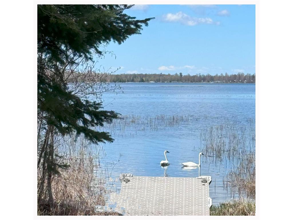 1159 S Gull Lake Road SW, Tenstrike, MN, 56683 | MLS: 6534541 | Edina ...