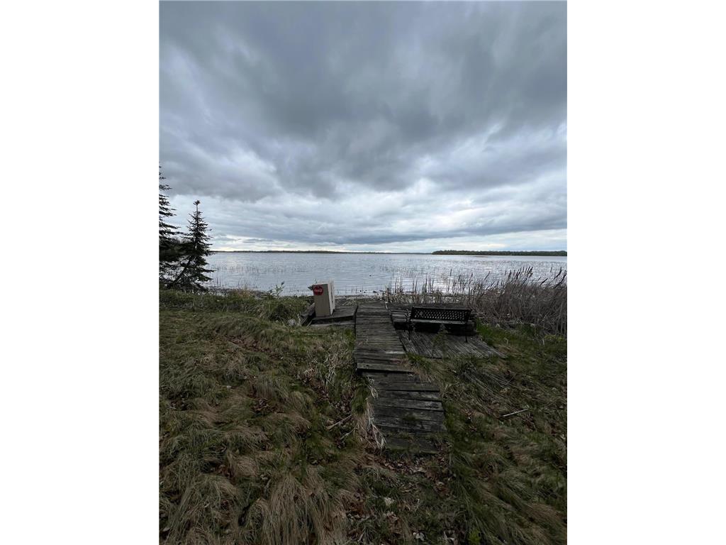 1187 S Gull Lake Road SW, Tenstrike, MN, 56683 | MLS: 6539379 | Edina ...