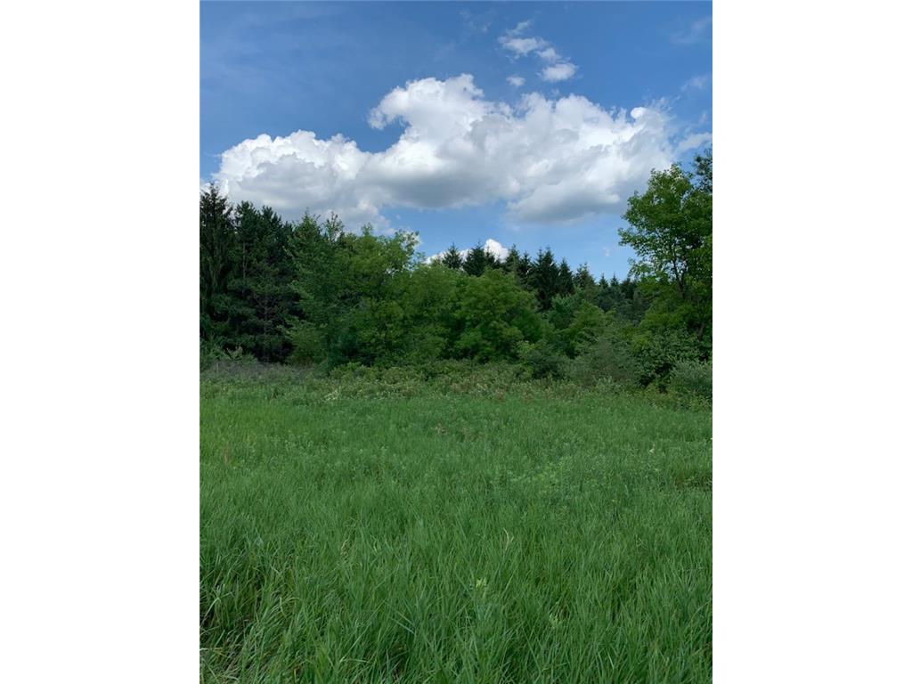 1223 52nd Street, Saint Joseph Twp, WI, 54082 | MLS: 7001017 | Edina Realty