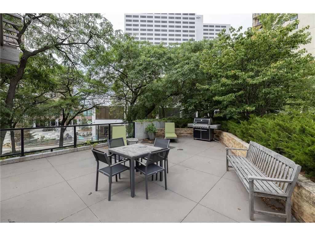1225 Lasalle Avenue #506, Minneapolis, MN, 55403 | MLS: 6551061 | Edina ...