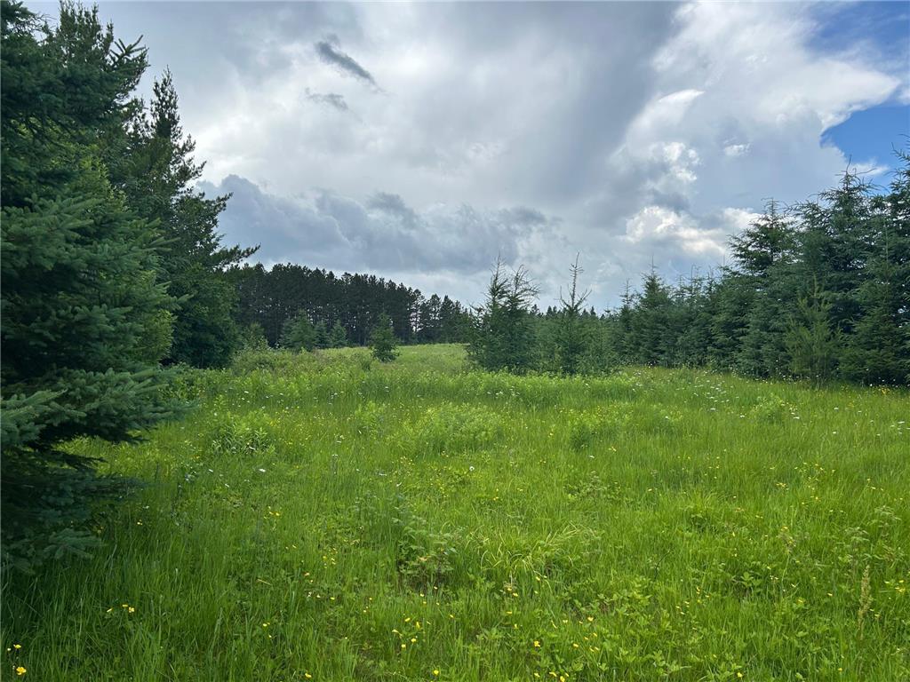 12317 County Road 15, Northome, MN, 56661 | MLS: 6747961 | Edina Realty
