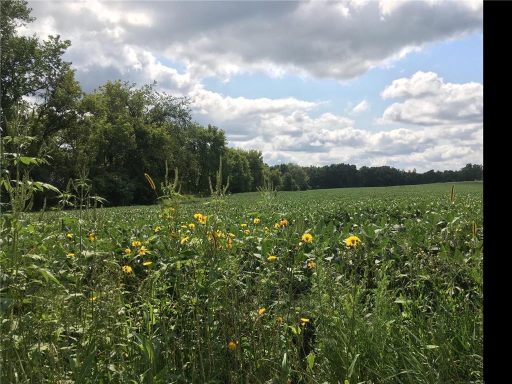 1405 Hamel Road, Medina, MN, 55340 | MLS: 6647288 | Edina Realty