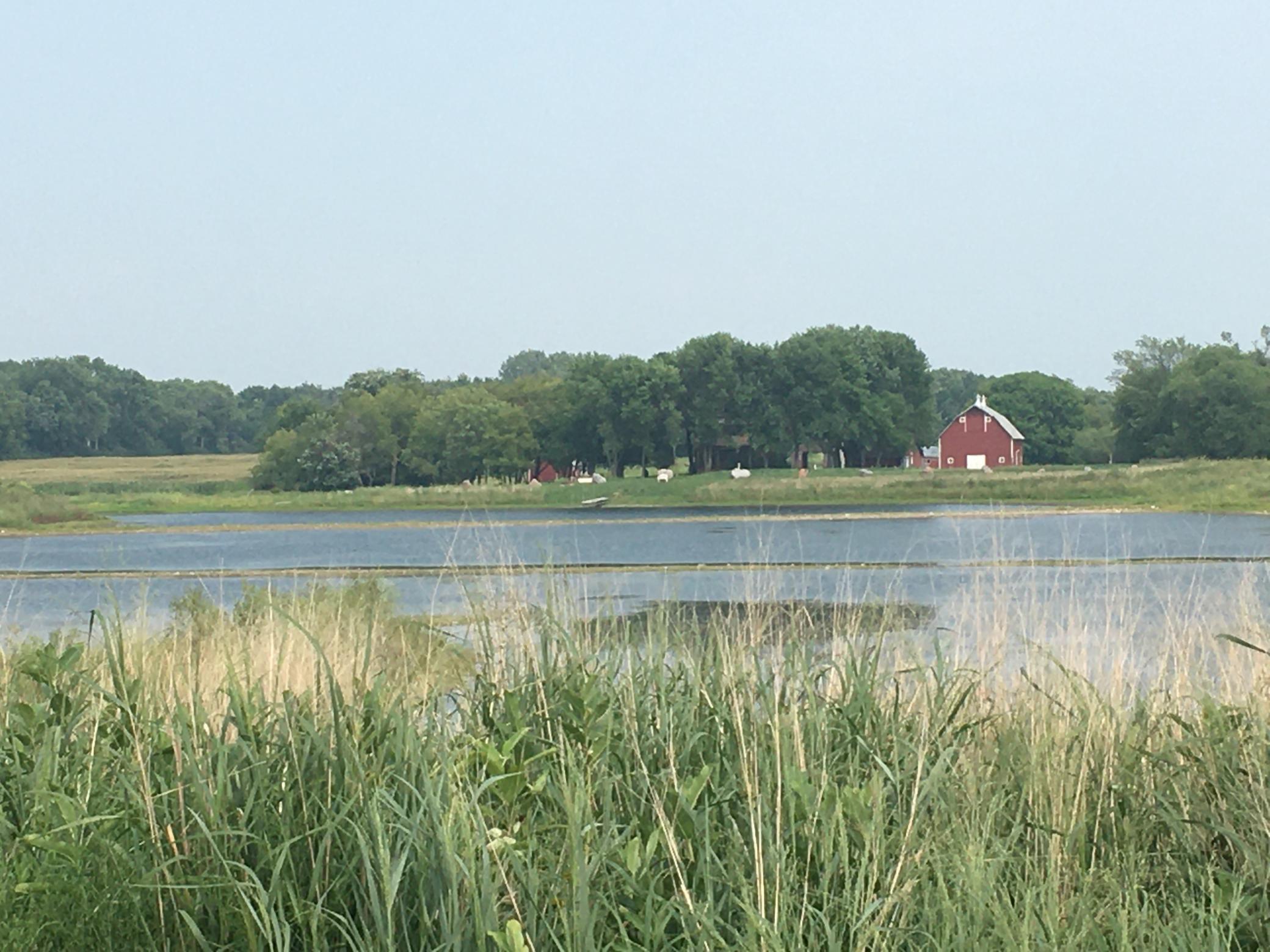 1494 175th Street, Lester Prairie, MN, 55354 | MLS: 6073342 | Edina Realty