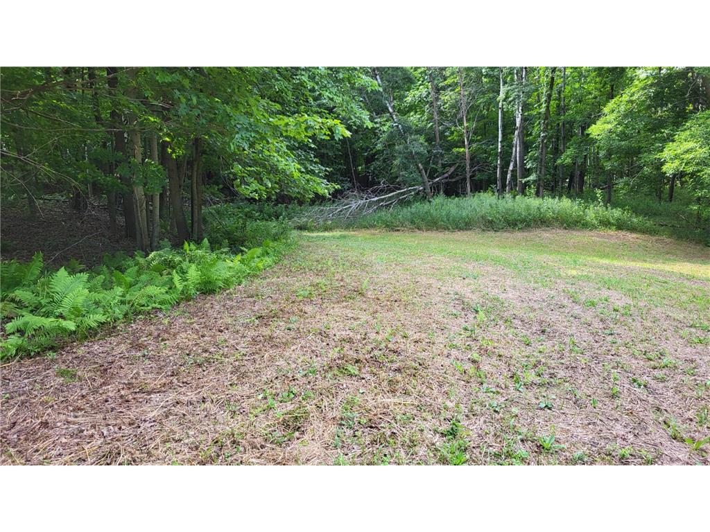 1560 Hines Lakeview Drive, Cumberland, WI, 54829 | MLS: 6770276 | Edina ...