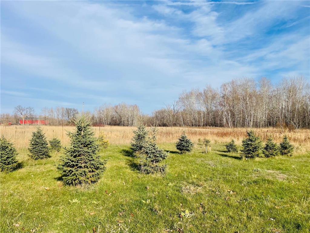 16264 Co Hwy 42, Parkers Prairie, MN, 56361 | MLS: 6460132 | Edina Realty