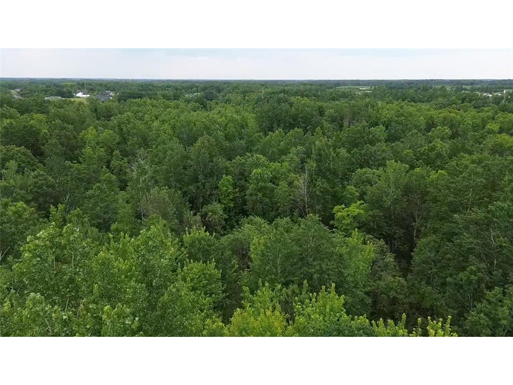 171 S 1st Street, Foreston, MN, 56330 | MLS: 6733519 | Edina Realty