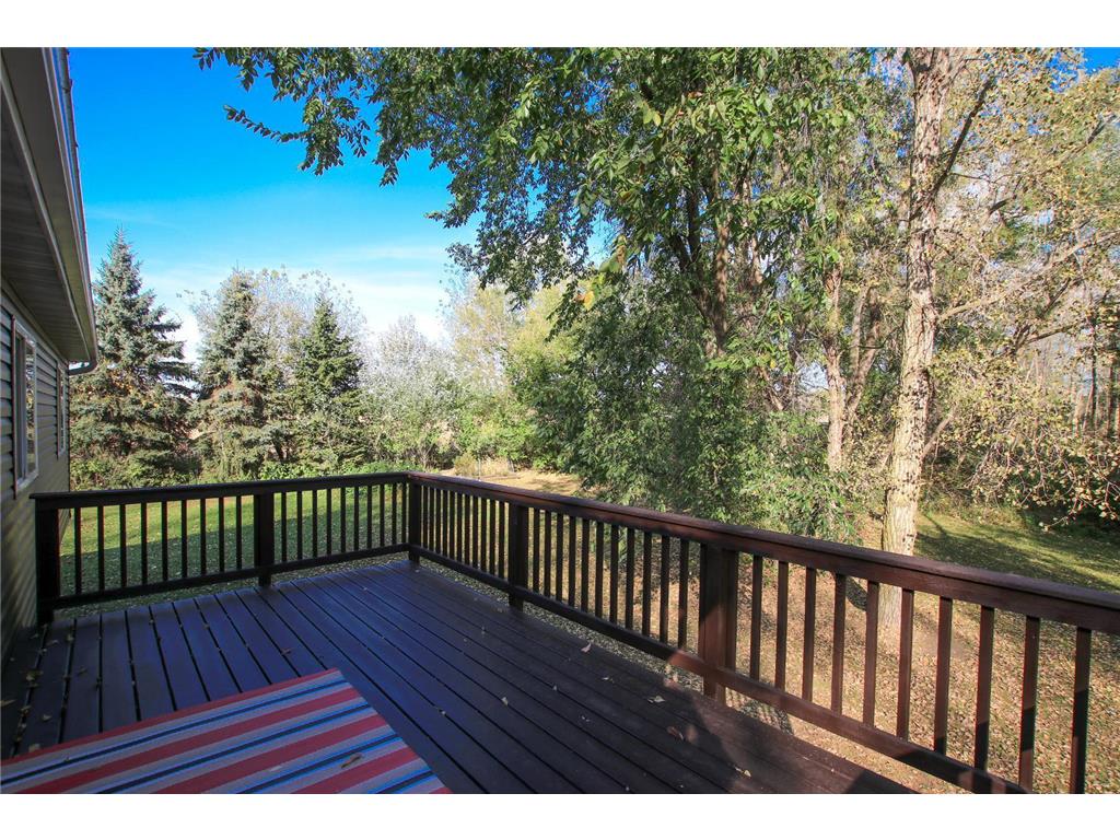 18218 Baldwin Court, Lester Prairie, MN, 55354 | MLS: 6800102 | Edina ...