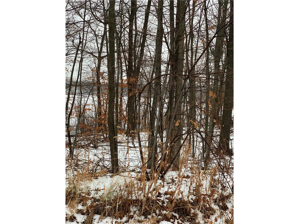 18XXX Lot 23 Captive Lake Road, Kathio Twp, MN, 56338 | MLS: 6316372 ...