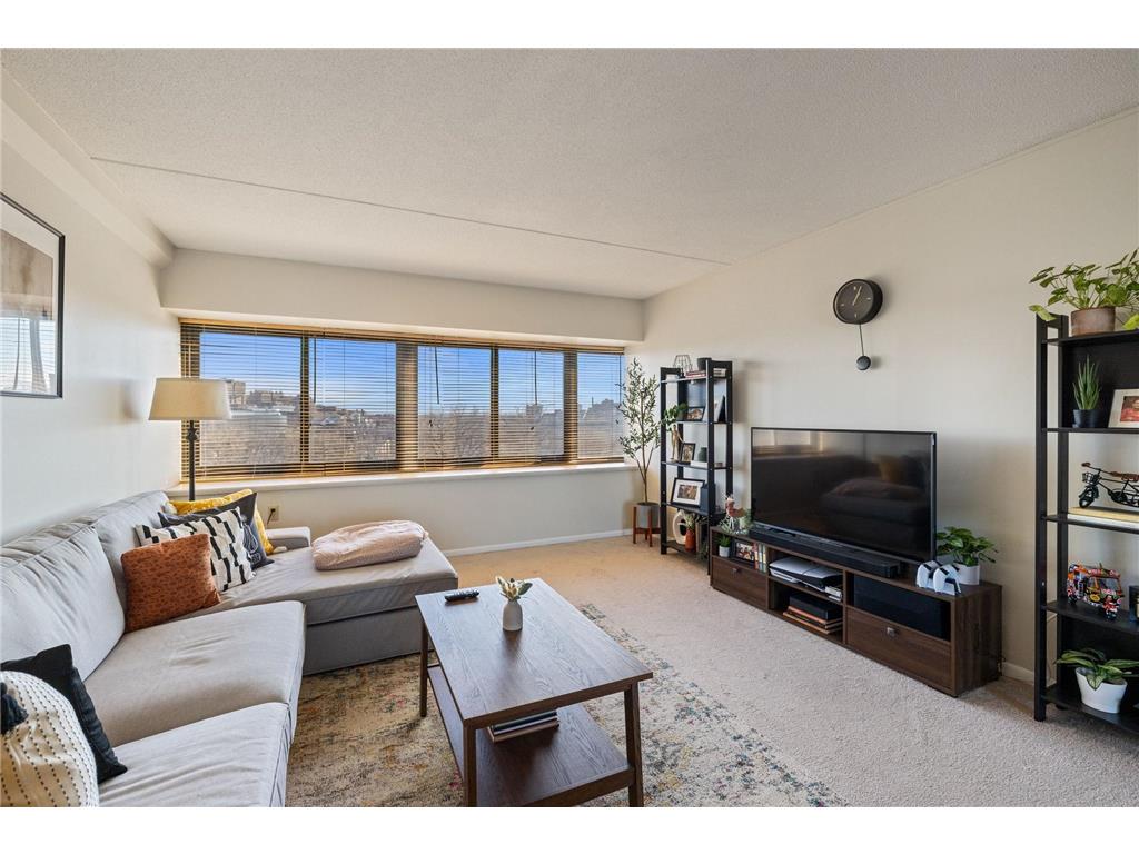 1920 S 1st Street #509, Minneapolis, MN, 55454 | MLS: 6505101 | Edina ...
