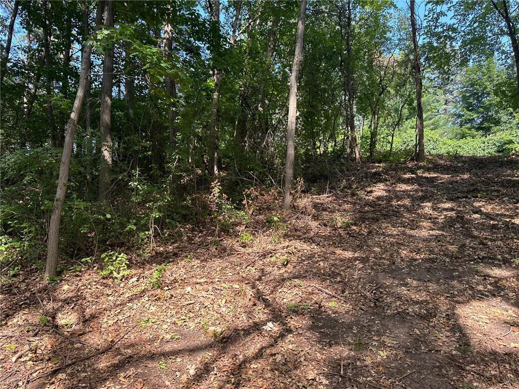 195x Glenhill Road, Mendota Heights, MN, 55118 | MLS: 6582292 | Edina ...