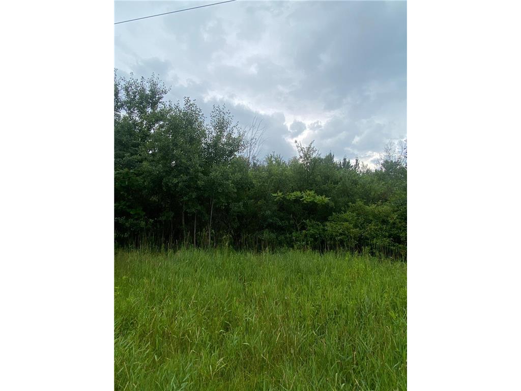 19xx 240th Avenue, Eureka, WI, 54024 | MLS: 6758362 | Edina Realty