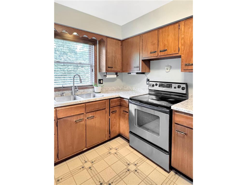 204 Washington Street N, Saint Leo, MN, 56264 | MLS: 6752879 | Edina Realty