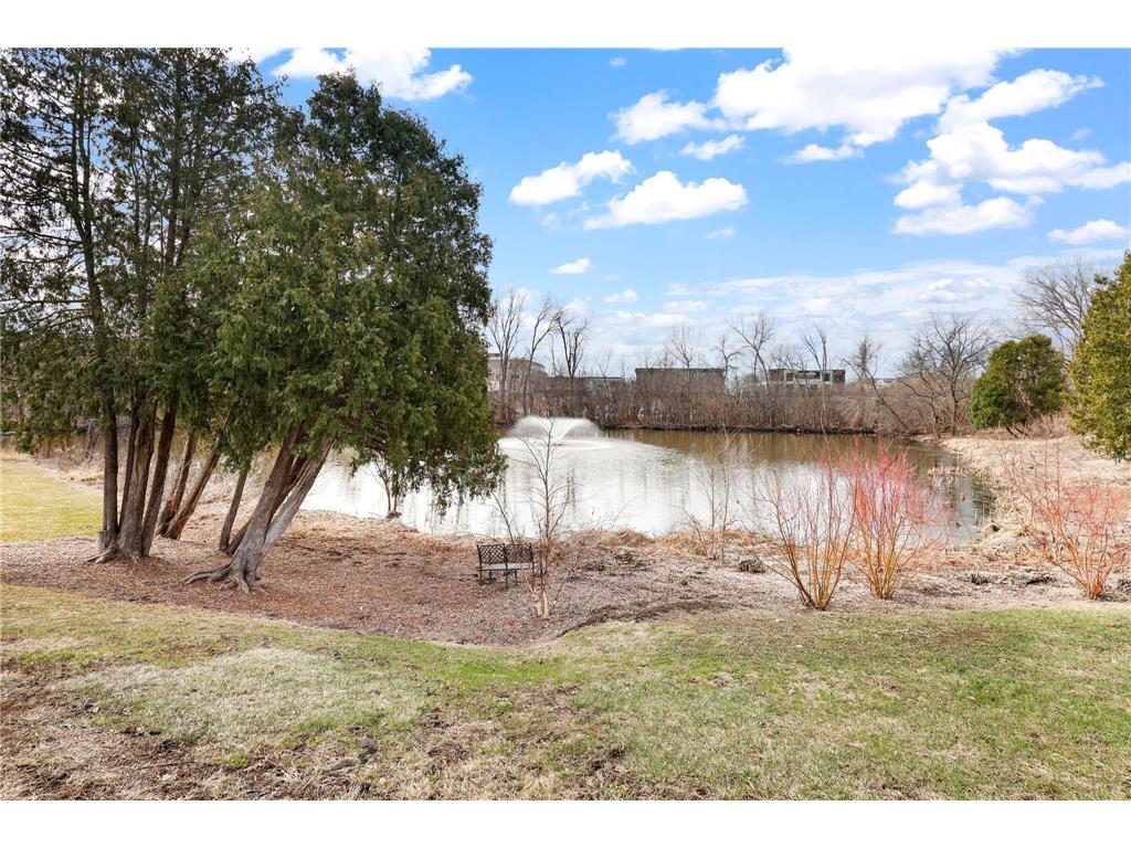 205 Barry Avenue S #208, Wayzata, MN, 55391 | MLS: 6772481 | Edina Realty