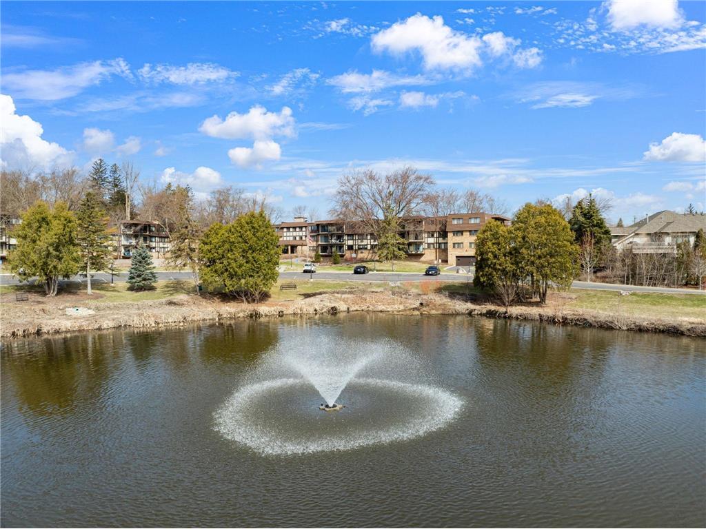 205 Barry Avenue S #208, Wayzata, MN, 55391 | MLS: 6772481 | Edina Realty