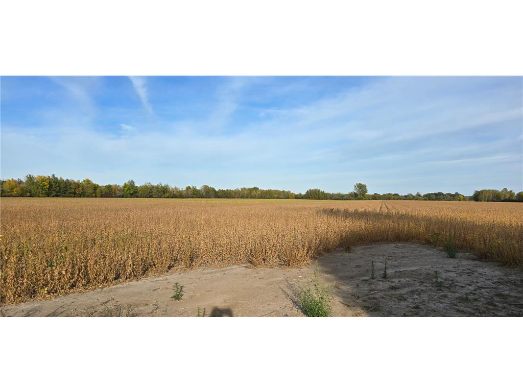 XXX E Olive Street, Ogilvie, MN, 56358 | MLS: 6611836 | Edina Realty
