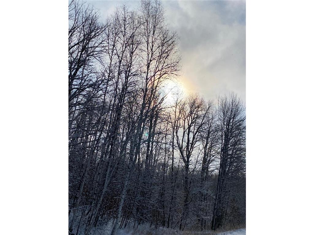 20772 TOAD MOUNTAIN RD, Osage, MN, 56570 | MLS: 6352028 | Edina Realty