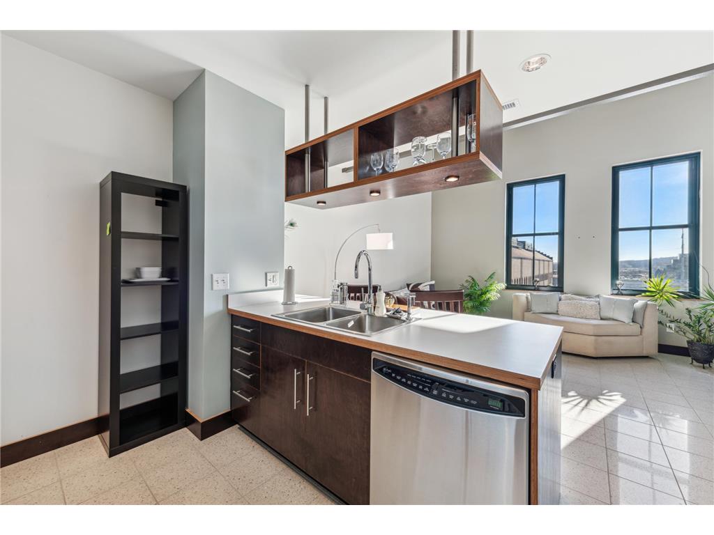 214 4th Street E #217, Saint Paul, MN, 55101 | MLS: 6463029 | Edina Realty