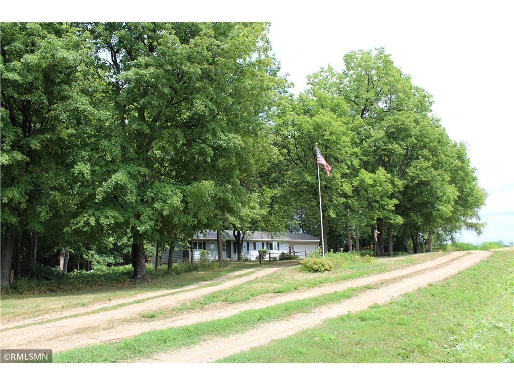 21848 Mn Highway 15, Dassel, MN, 55325 | MLS: 6239221 | Edina Realty
