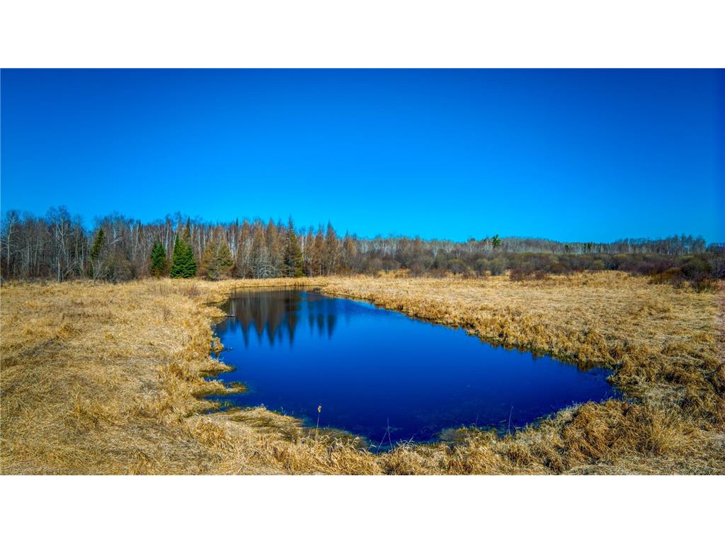 23789 Everts Road NE, Tenstrike, MN, 56683 | MLS: 6518304 | Edina Realty