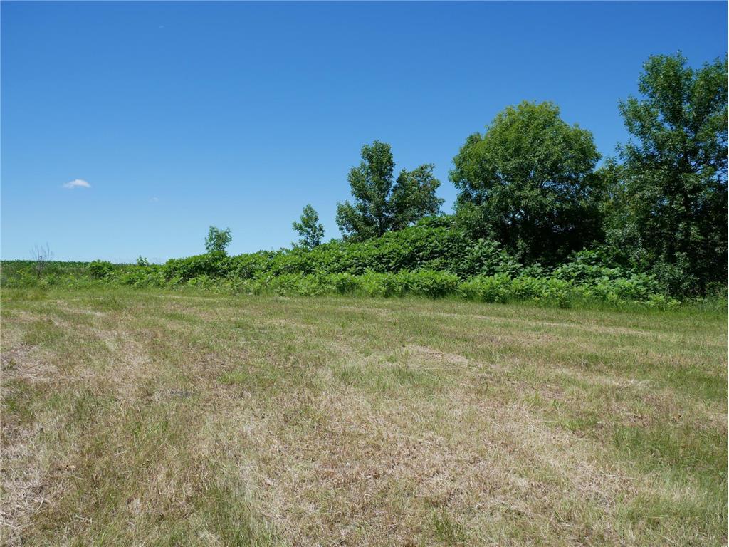 24376 548th Avenue, Acton Twp, MN, 56243 | MLS: 6557382 | Edina Realty