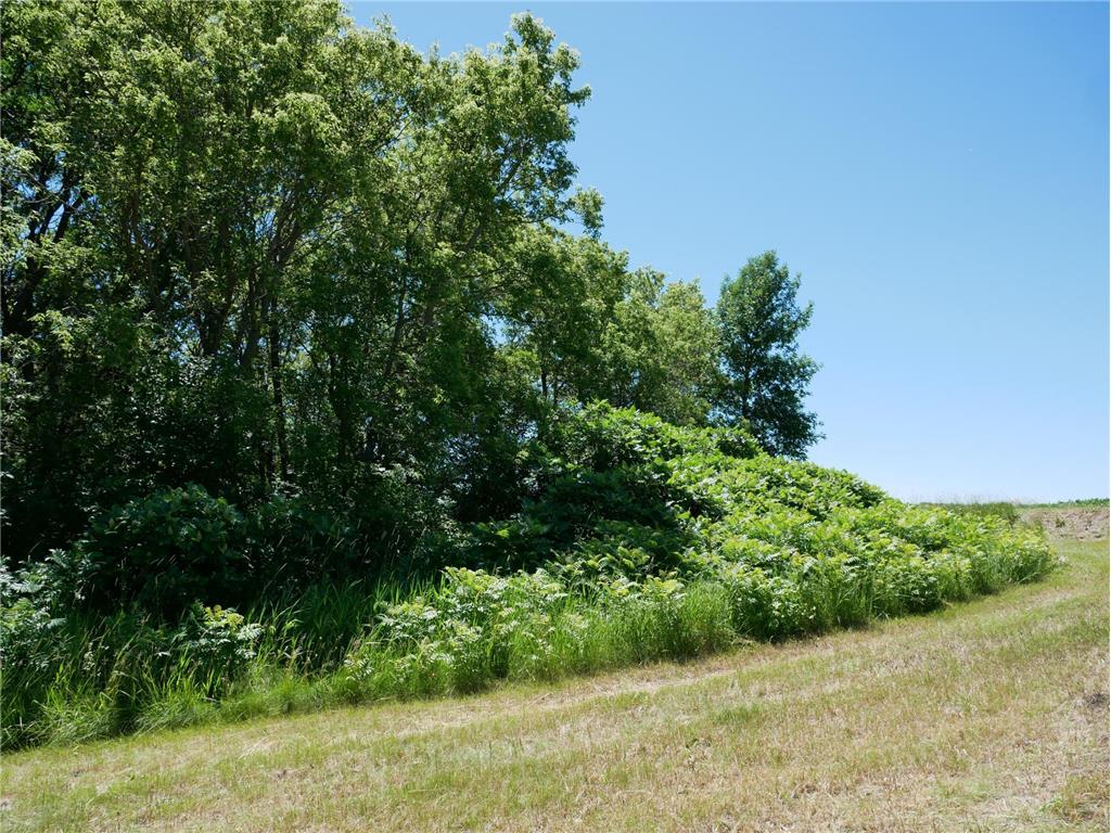 24376 548th Avenue, Acton Twp, MN, 56243 | MLS: 6557382 | Edina Realty