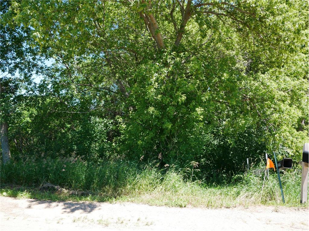 24376 548th Avenue, Acton Twp, MN, 56243 | MLS: 6557382 | Edina Realty
