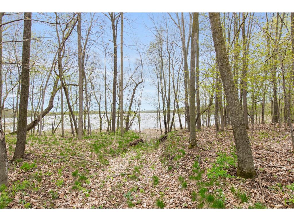 2446 170th Street, Luck, WI, 54853 | MLS: 6530103 | Edina Realty