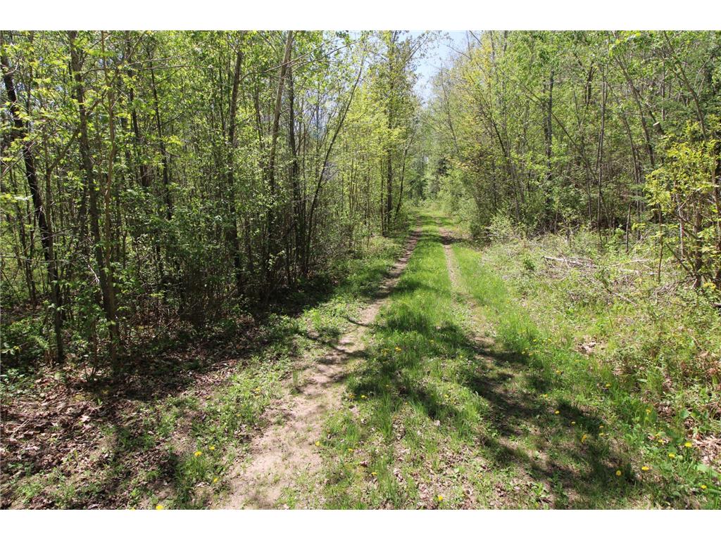 25343 Lens Road, Ross Lake Twp, MN, 56447 | MLS: 6722307 | Edina Realty