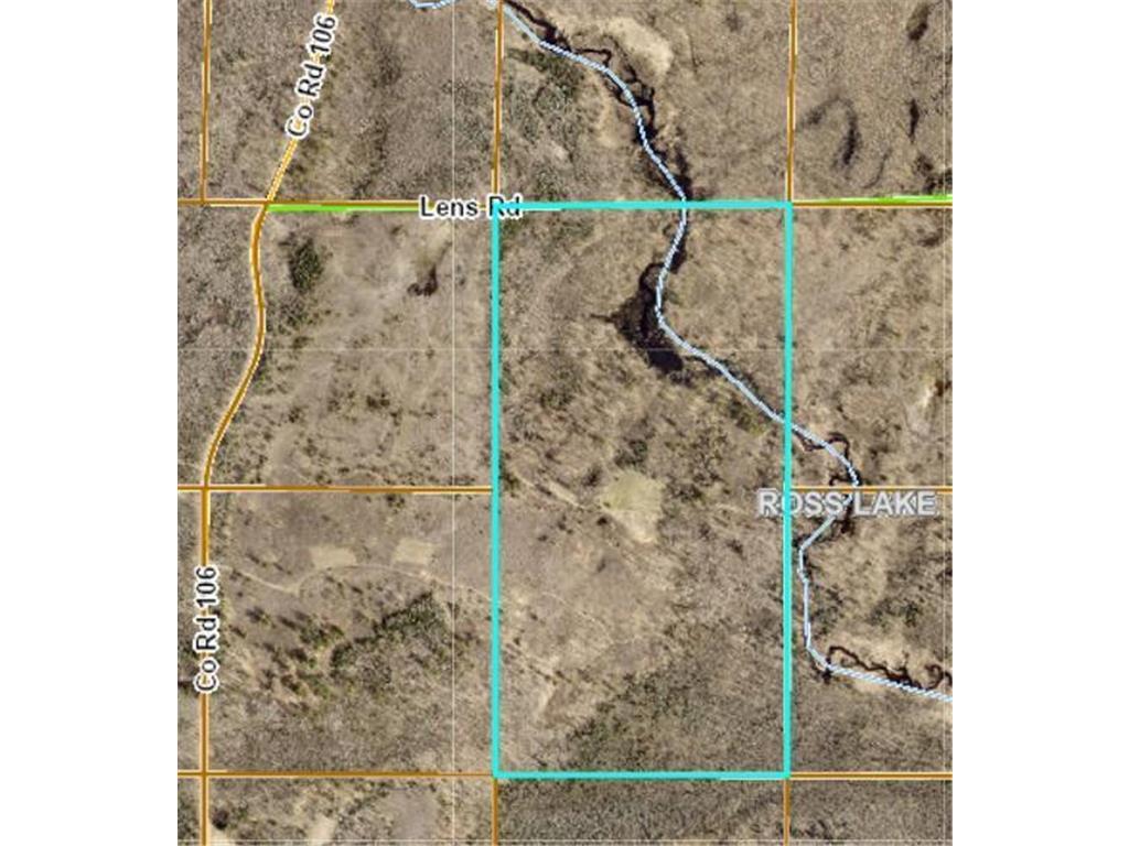 25343 Lens Road, Ross Lake Twp, MN, 56447 | MLS: 6722307 | Edina Realty